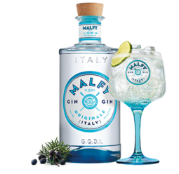 Our gins | The Malfy gin Amalfi coast inspired range