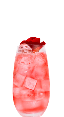 Italian Gin Cocktails & Drinks Recipes | Malfy Gin