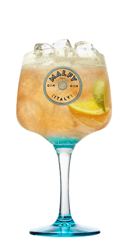 Malfy Rosa Gin & Tonic | Cocktail Rezept